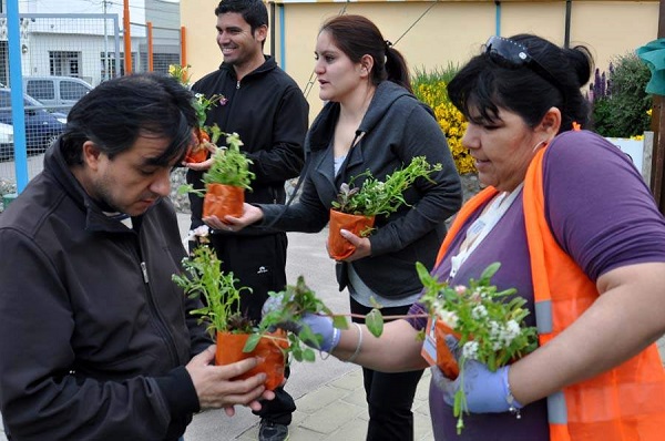 Hoy se realiza la tradicional entrega gratuita de plantines ...